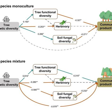 Figure Supplement 1 Effects Of Tree Diversity On Higher Trophic Levels Download Scientific