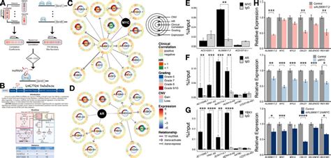Long Noncoding Rnas Interacting With The Prognostic Signature