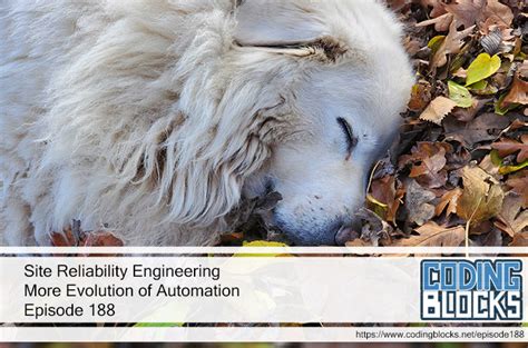 Coding Blocks Podcast And Your Source To Learn How To Become A Better