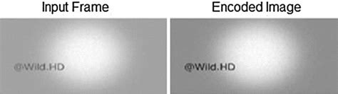 Comparison Of Input And Encoded Frame For Video1 Download Scientific Diagram