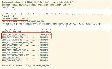 Zero Downtime Migration Zdm Databases Are Fun
