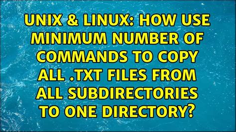 How Use Minimum Number Of Commands To Copy All Txt Files From All Subdirectories To One