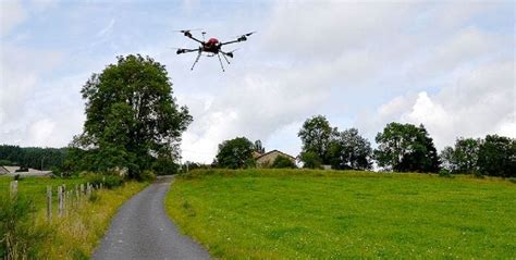 whales are big and other revelations by valkyrie holmes medium