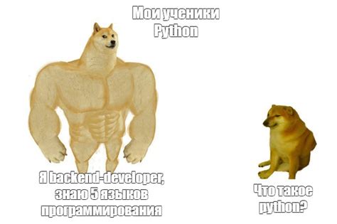 Сomics meme Мои ученики Python Я backend developer знаю 5 языков
