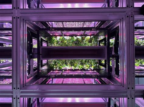 Autostore Tech Powers Next Gen Robotic Vertical Farm Agriculture Technology