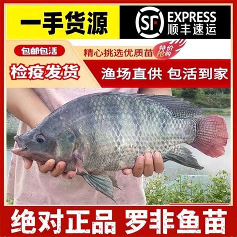 富吉第4页大山谷图库