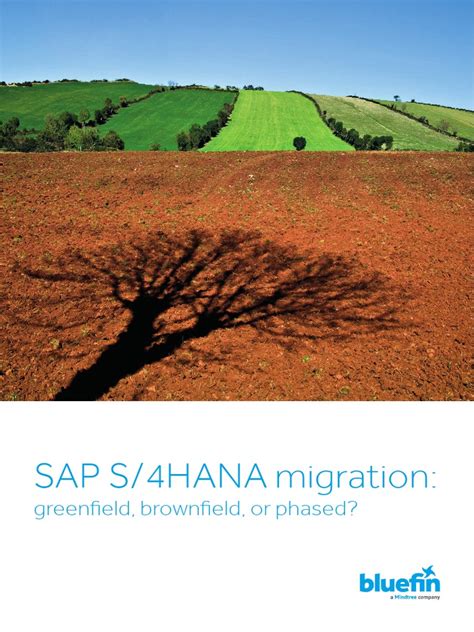 Sap S4hana Migration Greenfield Brownfield Or Phased Whitepaper Bluefin Solutions 2017 Pdf Pdf
