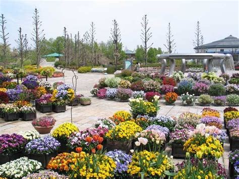 草津市立水生植物公園みずの森 ー 営業時間場所地図等の情報 まっぷるウェブ