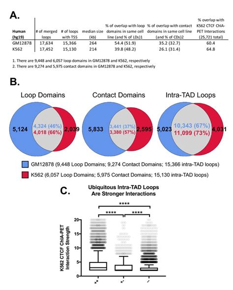 Figures And Data In Computational Prediction Of Ctcfcohesin Based
