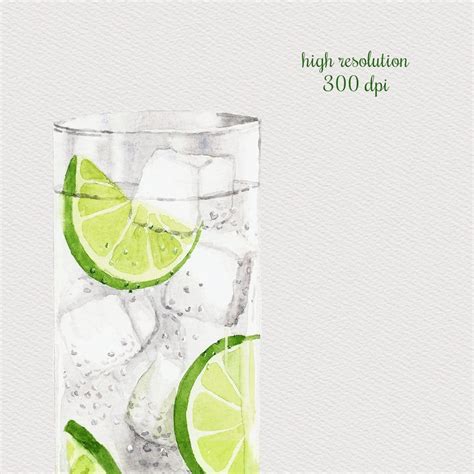 Gin And Tonic Watercolor Drink Cocktail Illustration Summer Etsy