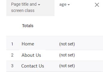 Vue Js How To Pass Custom User Dimension In Google Analytics Via VueJS Application Stack
