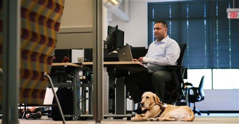 Tejpal Singh On Linkedin Senior Software Engineer Iireact Native And