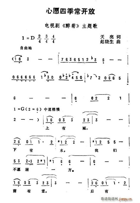 天亮 醉菊简谱 天亮 简谱大全