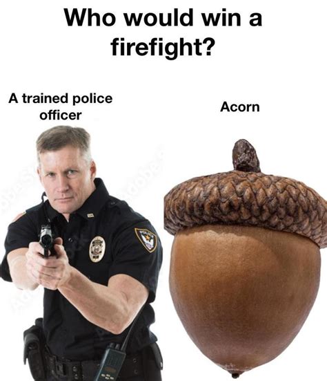Whats The Acorn Cop Meme The Trend And Viral Video Of A Cop Being Scared By Know Your Meme