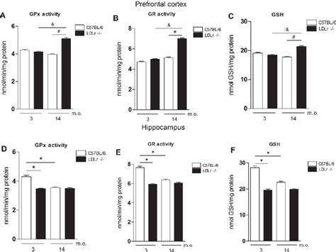 Hypercholesterolemia Induces Brain Oxidative Stress Effects Of Ldlr Download Scientific