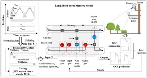 The Framework Of Canopy Greenness Modelling Using Lstm The Lstm Is