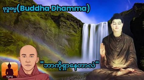 ဘာကိုရှာနေတာလဲမြတ်ဗုဒ္ဓ၏တရားဒေသနာတော် Thitsarshwesi Sayartaw U Uttama
