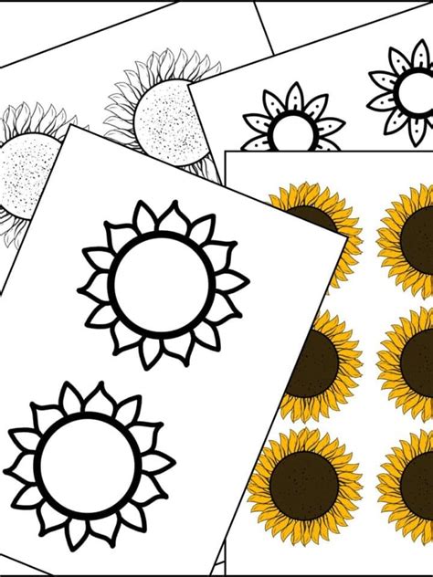 Free Circle Template Printable 12 Different Sizes The Pink Craft Box