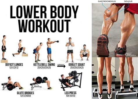 Strength Lower Body Exercises At Brenda Norris Blog