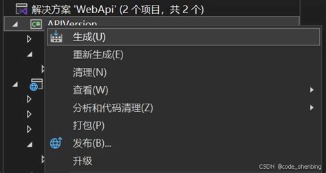 Asp Net Core实战 集成swaggernet Core Swaggerxml如何设置为始终复制 Csdn博客
