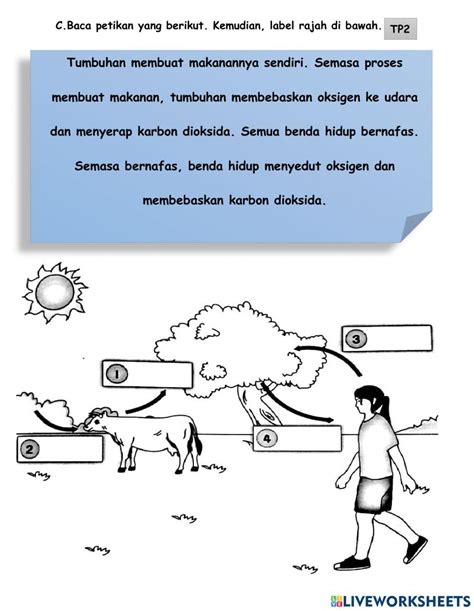Sains Tahun 2udara Tp1 Tp2 Online Exercise For Live Worksheets