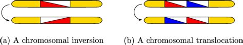 Figure 1 From Alignment With Non Overlapping Inversions And Translocations On Two Strings
