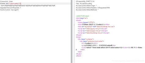 Ctfhub Sql注入 Cookie注入ctfhubcookie注入python脚本 Csdn博客