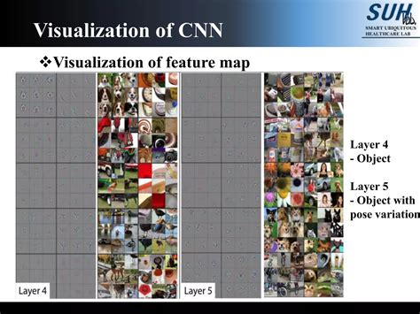 Visualizaing And Understanding Convolutional Networks Pptx
