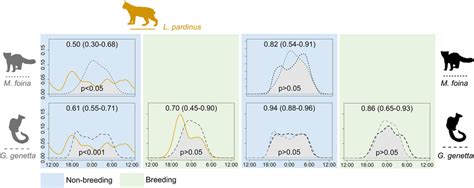temporal activity patterns of carnivores in localities with iberian