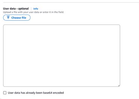 Create An Ec2 Instance With Ec2 User Data Script To Launch Website