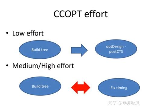 Ccopt 笔记（ 四） 知乎