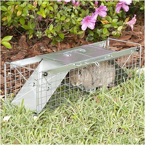 How To Build A Simple Rabbit Trap Sciencing Rabbit Traps Animal