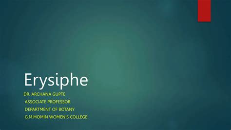 Erysiphe Structurereproduction And Life Cycle Pptx