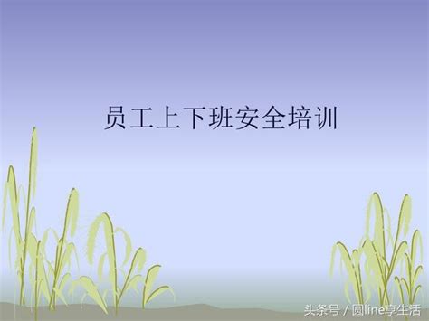 員工上下班安全培訓 每日頭條
