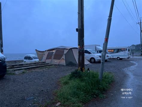 부산 양산 울산 근교 노지캠핑 경주 감포바다 차박후기나만 알고싶은 곳 네이버 블로그