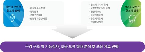 조음·음운장애 연세언어발달·청능재활연구센터