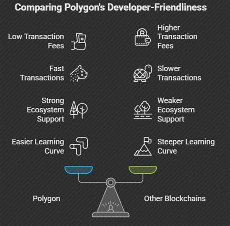 Is Polygon The Most Developer Friendly Blockchain
