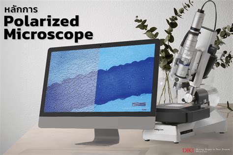 Polarized Microscope คืออะไร และหลักการทำงาน