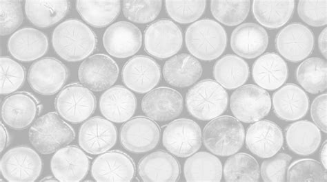 Tree Cut Out PNG Transparent Images Free Download Vector Files Pngtree