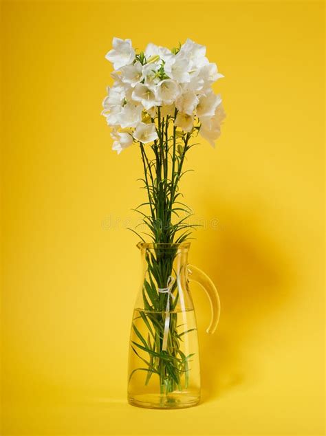 Желтый колокольчик стоковое фото изображение насчитывающей лето 53697242