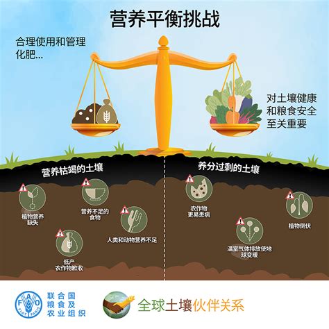 Insoilfer Global Soil Partnership Food And Agriculture Organization
