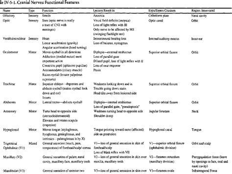 Cranial Nerves And Their Function Google Search Speech Therapy Materials Cranial Nerves