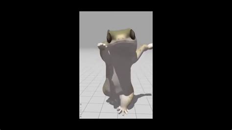 Dancing Lizard Dancing Gecko 5 Minute Edit Youtube