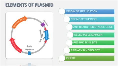 Plasmid Types And Its Properties Pptx