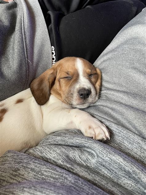 She Fell Asleep Between Me And My Brothers Legs Reyebleach
