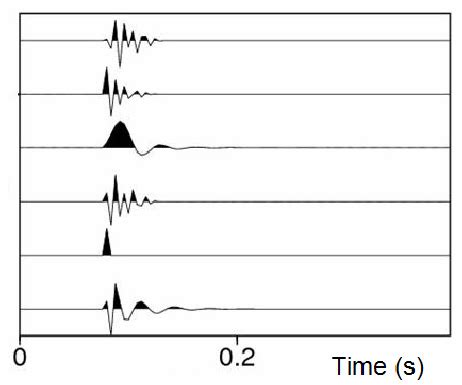 The Order Of Top To Bottom Is The Mixed Phase Wavelet The Minimum Download Scientific Diagram