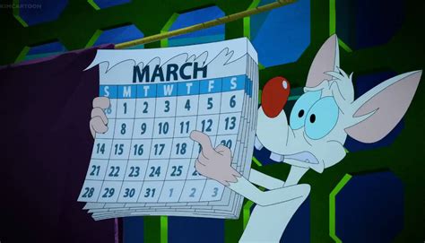 Pinky And The Brain 2020 Robs Birthday Shoutout By Yesieguia On Deviantart