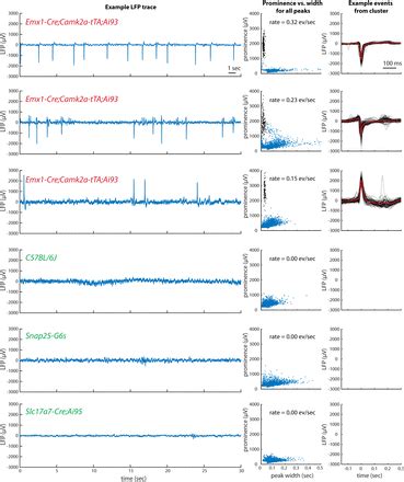 Aberrant Cortical Activity In Multiple Gcamp6 Expressing Transgenic