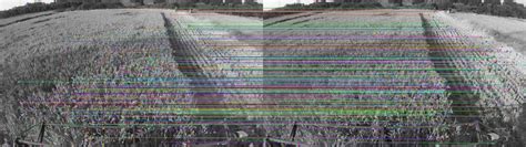 Fast Keypoints Are Detected And Matched In Stereo Frame Download