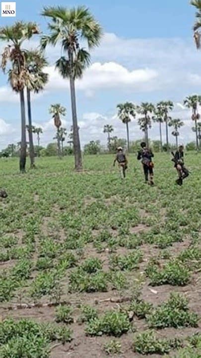 တောင်သာမြို့ အနောက်ဘက်ရှိ စစ်ကောင်စီစစ်ဆေးရေးဂိတ်ကို တိုက်ခိုက်ရာ စစ်ကောင်စီ တပ်သား ၅ ဦးသေဆုံး